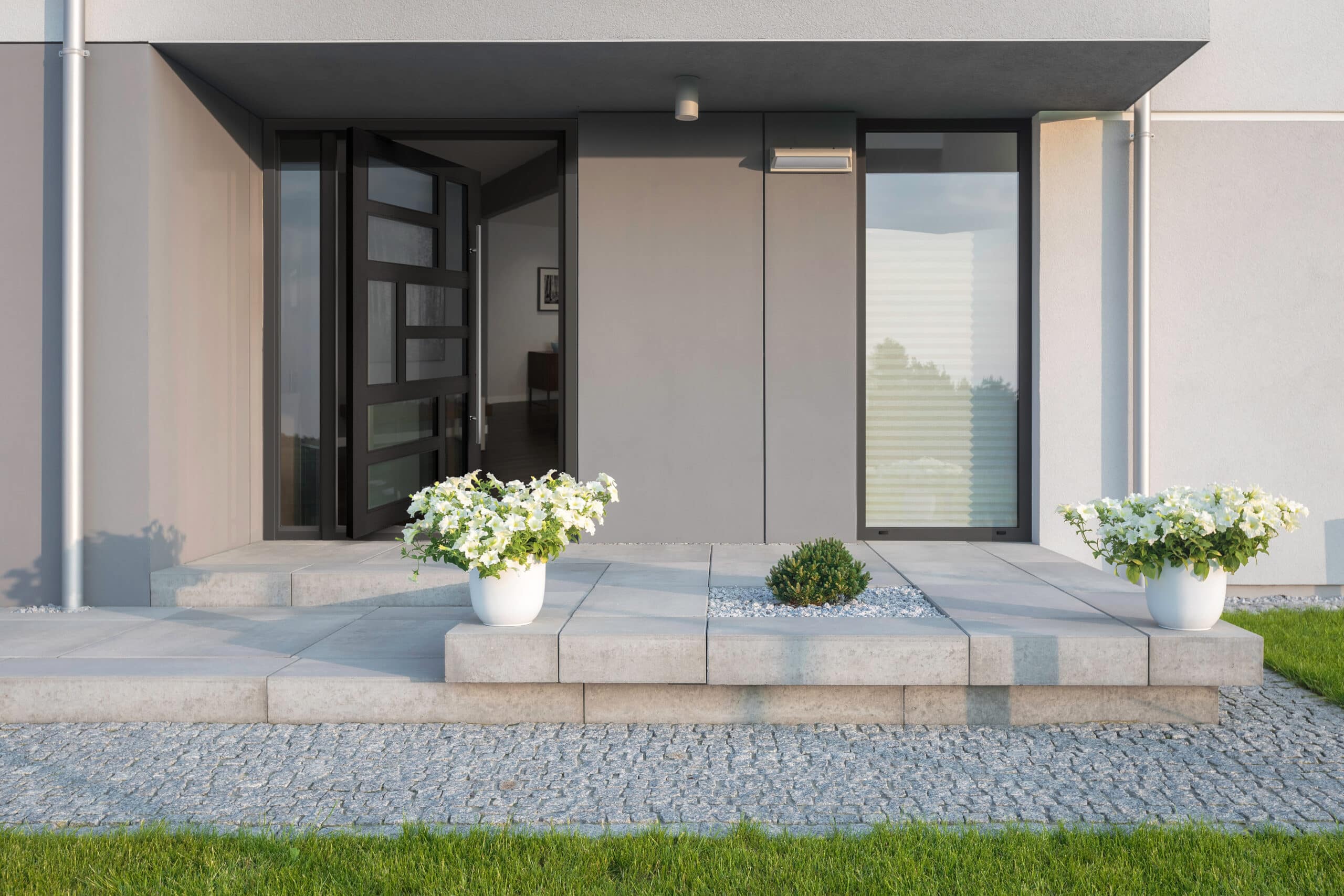 LUXE Pivot Doors: A Complete Guide for Builders and Architects - DSA Doors